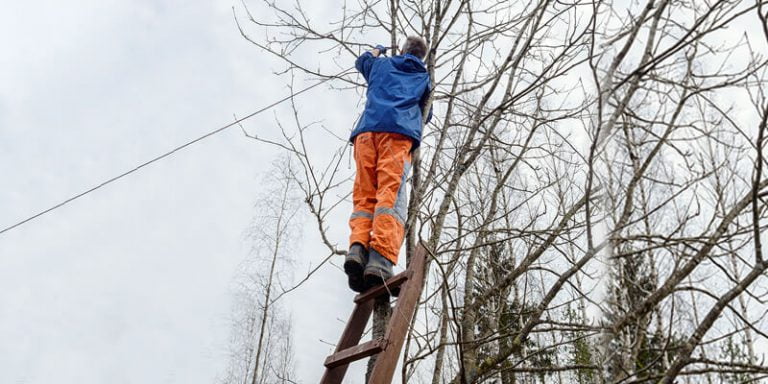 Ladder Accidents - Step by Step